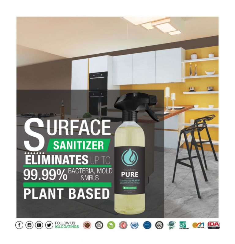 IGL Ecoclean Pure Disinfectant Spray Sanitizer - HardwareMart